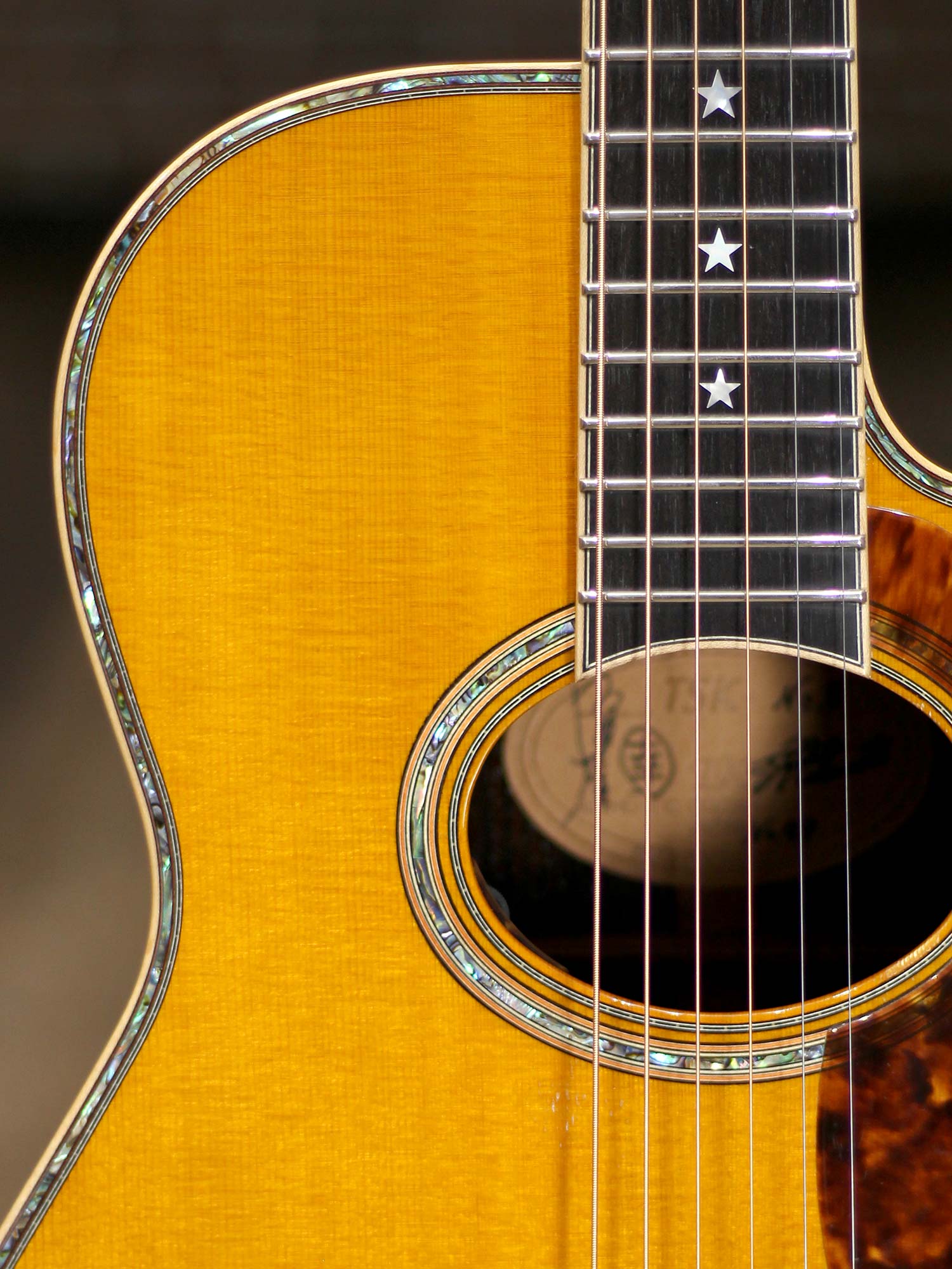 TSK No.8 Tortoise Shell Pickguard -Not Aged-